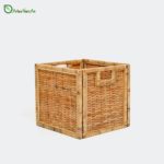 Top Differences Between Cane Vs Bamboo In Home Industry